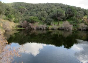 Ruta Vía Verde Alberche. Embalse Picadas (Madrid) - Ando y Reando