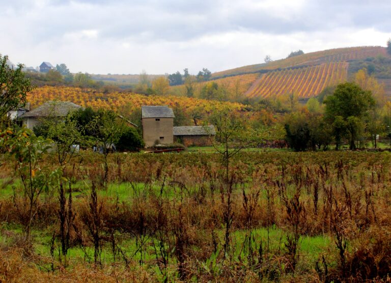 Qué ver en El Bierzo. 10 imprescindibles (León) Ando y Reando