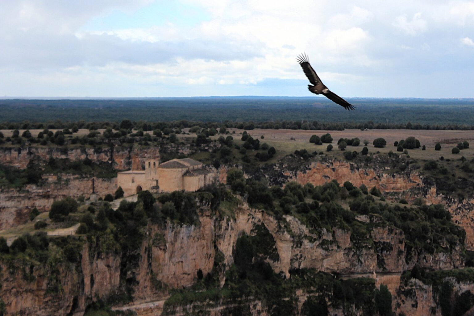 Hoces del Duratón (Segovia). Rutas y sendas - Ando y Reando