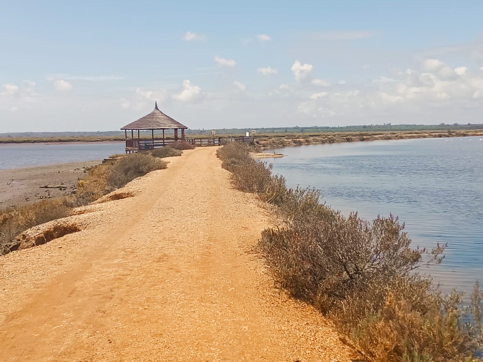 Marismas del Odiel. Organizar la visita (Huelva) - Ando y Reando