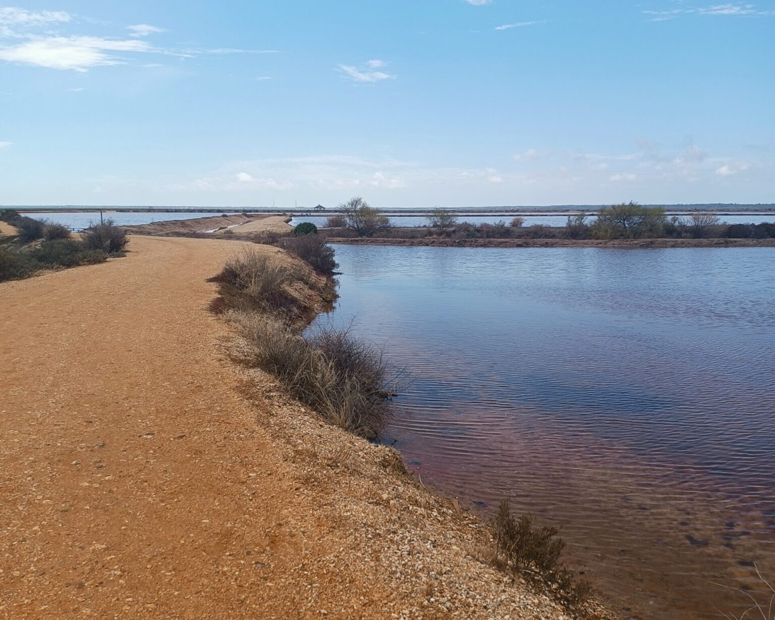 Marismas del Odiel. Organizar la visita (Huelva) - Ando y Reando