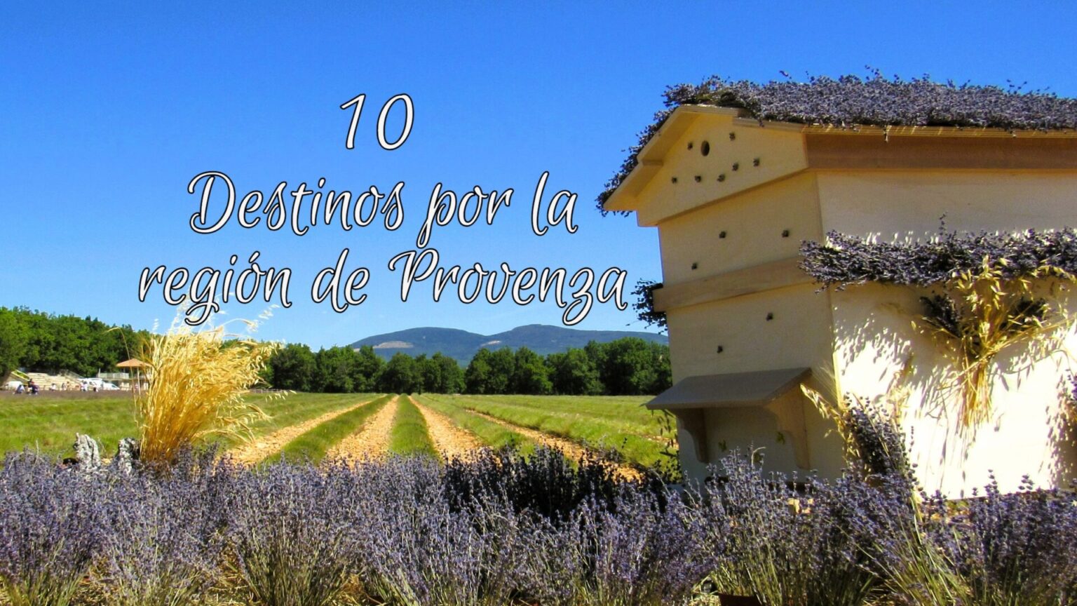 Qué ver en la Provenza. 10 destinos (Francia) - Ando y Reando